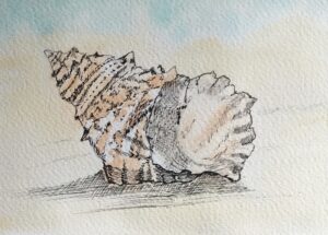 Ink and Wash 1 | Jo Hall
