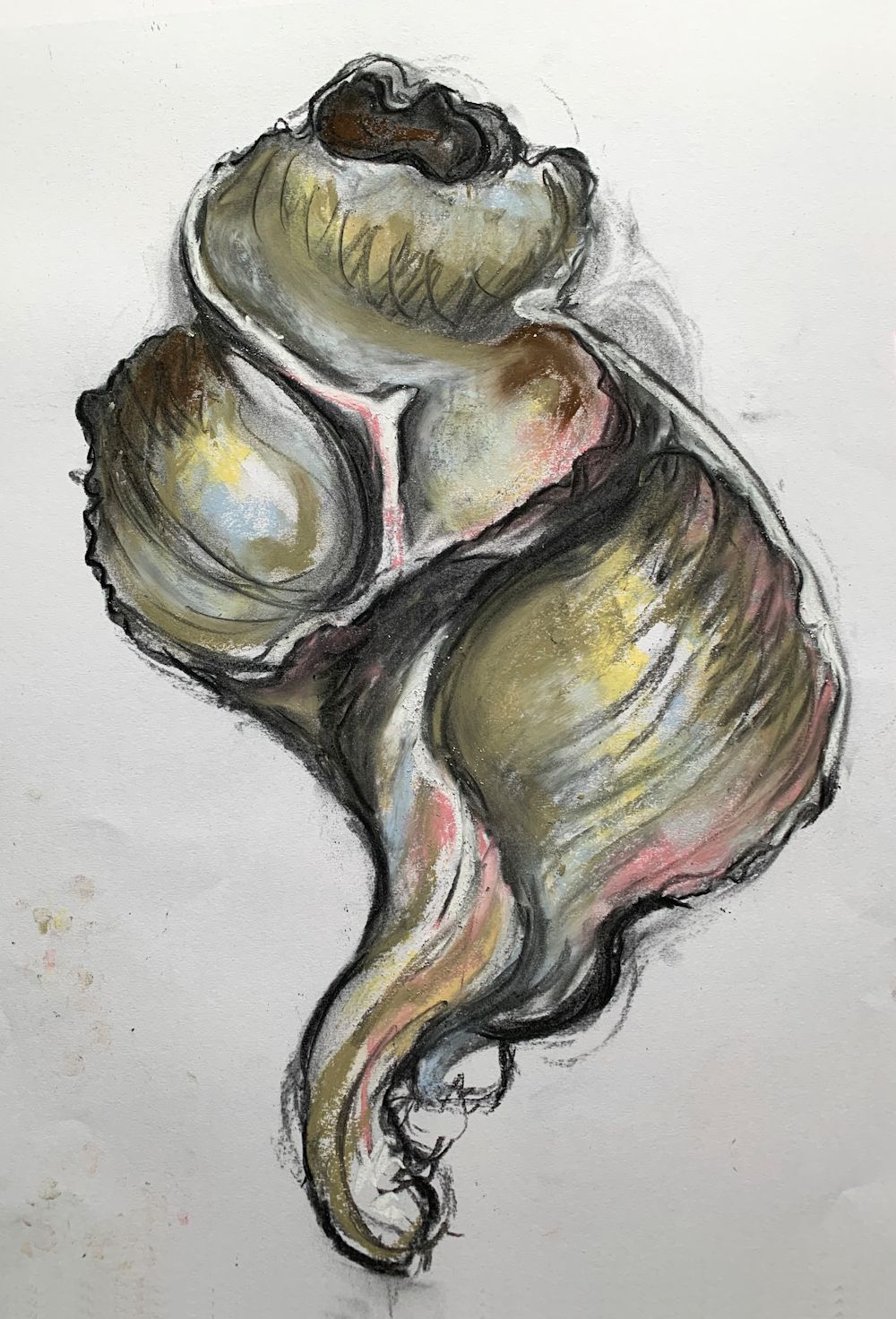 Drawing Larger than Life: Week 1, Natural Forms Sculptural | Jo Hall