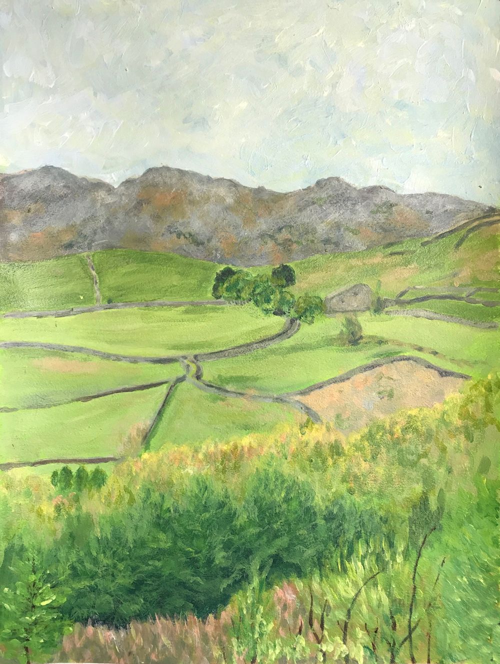 Drawing Trees Week 6: In Open Countryside | Jo Hall